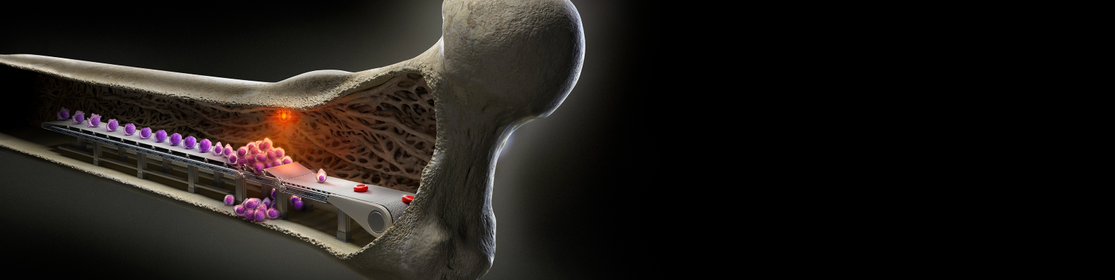 HCP Portal BMS - Home | Bristol Myers Squibb